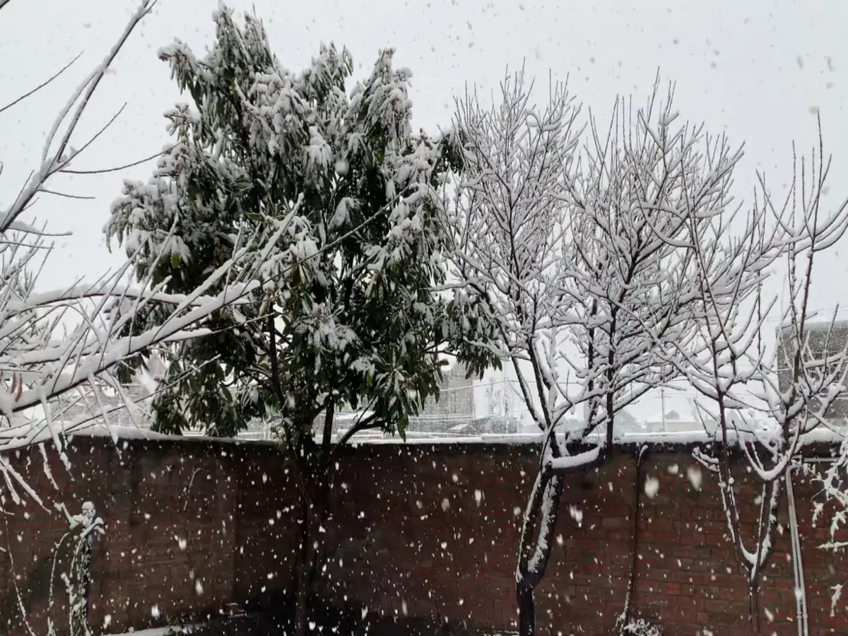 Severe snowstorm paralyzes Kashmir: Flights suspended, highways shut ...