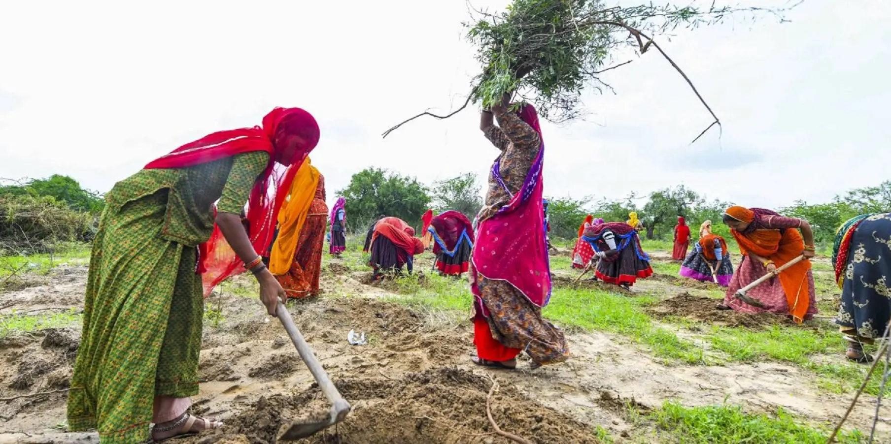 Union Budget 2026 allocates funds for both MGNREGA and VB-G RAM G ...