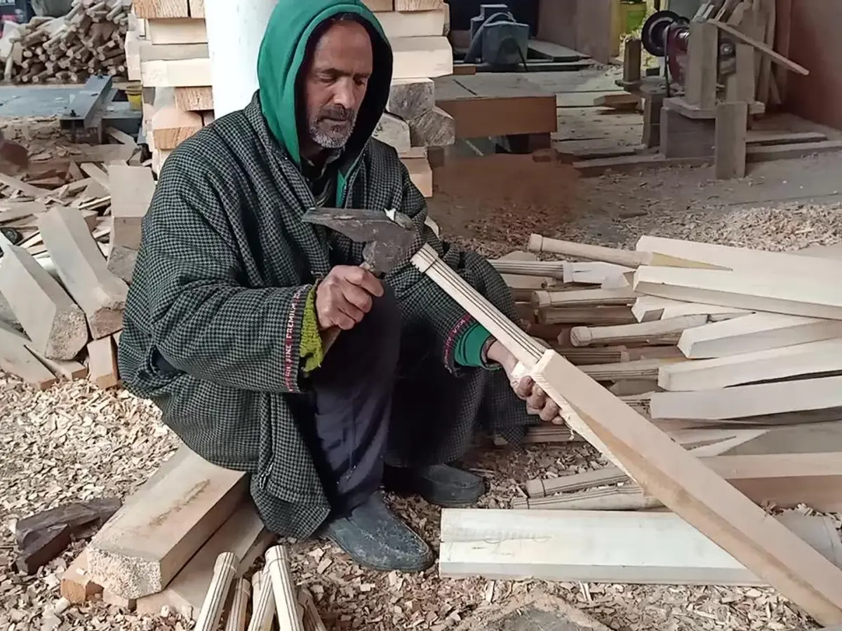 As MCC backs hybrid bats, Kashmir willow faces an identity test