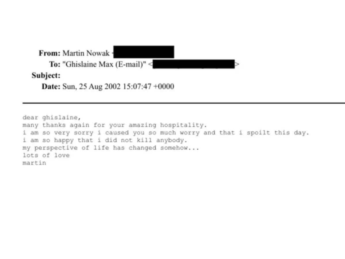 ‘Did you torture her?’: Emails of Jeffrey Epstein and Martin Nowak ...