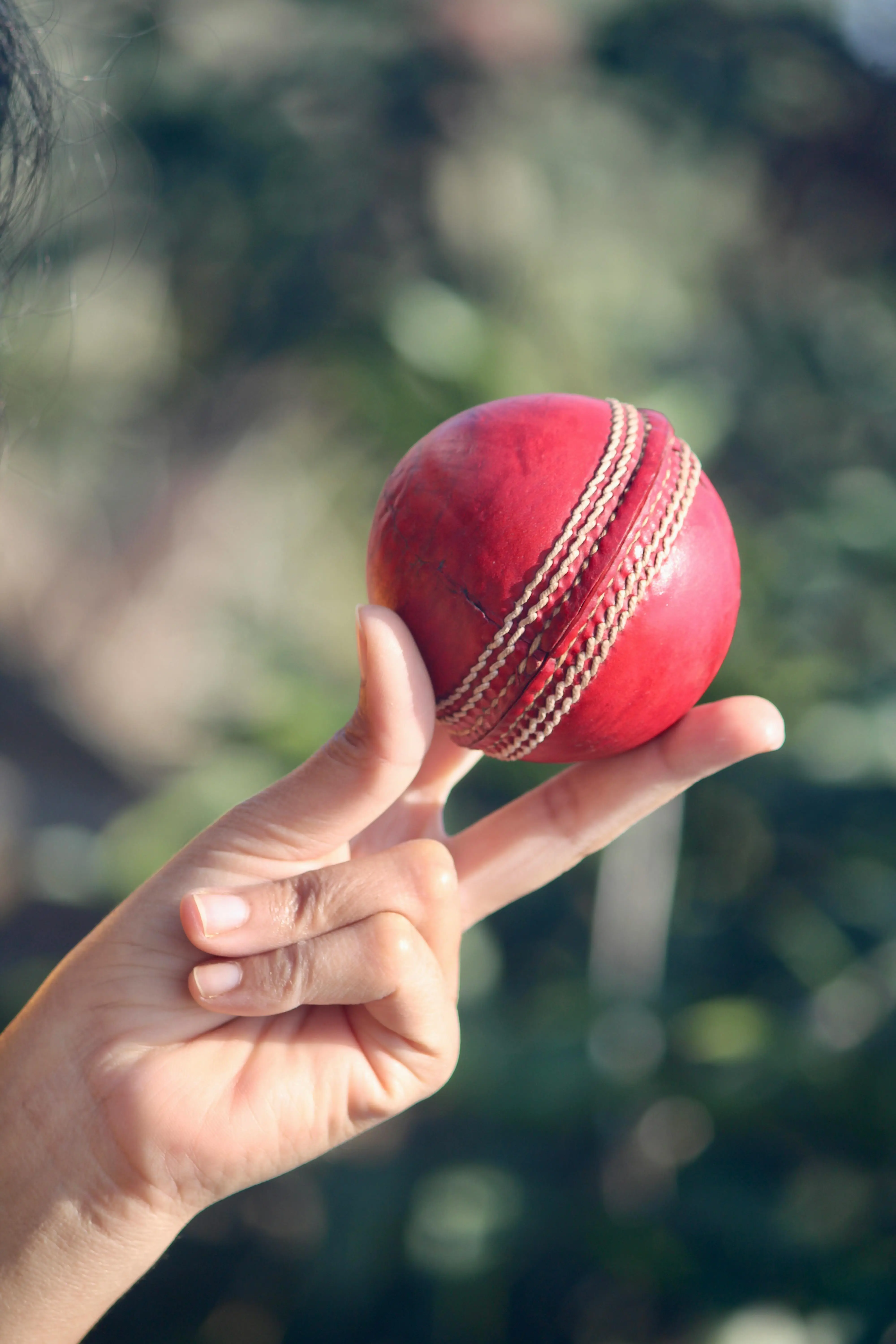 Before IPL, there was ICL: How Indian Cricket League pioneered the ...