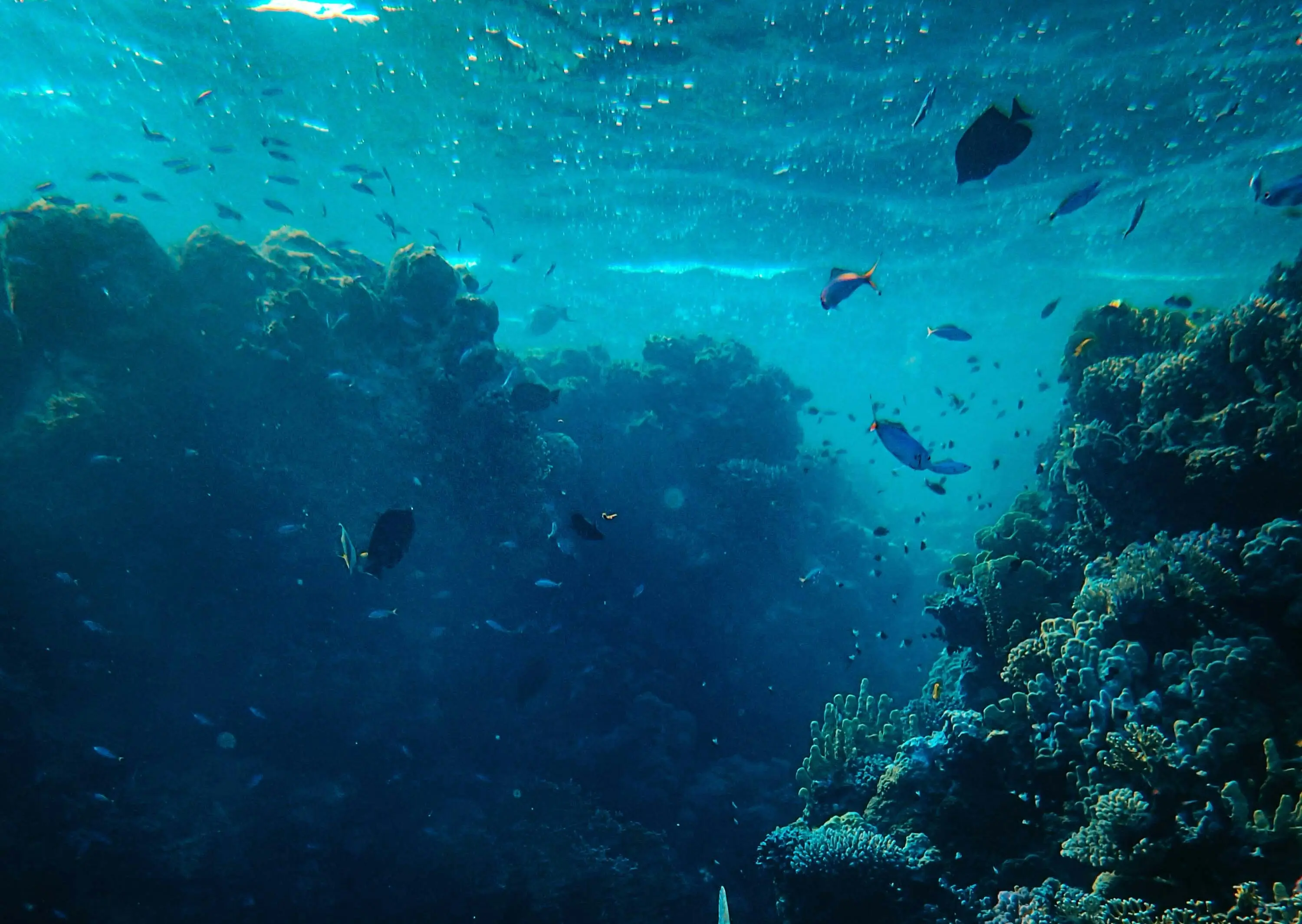 Sunken history: 2,400-year-old city found underwater in Turkey's Dicle ...