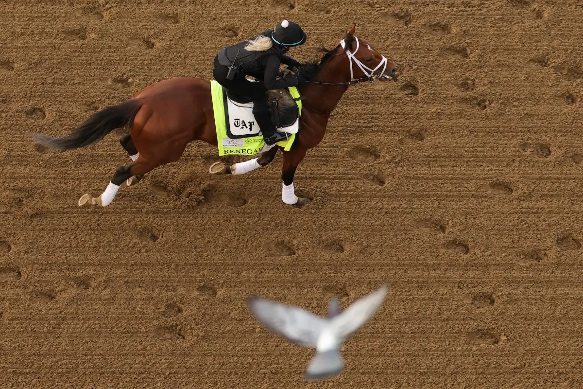 Kentucky Derby 2026: Complete guide to race day schedule, timings ...