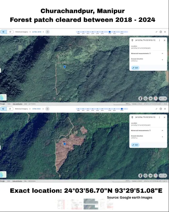 Forest crisis in India's Northeast that its own agencies can’t explain ...