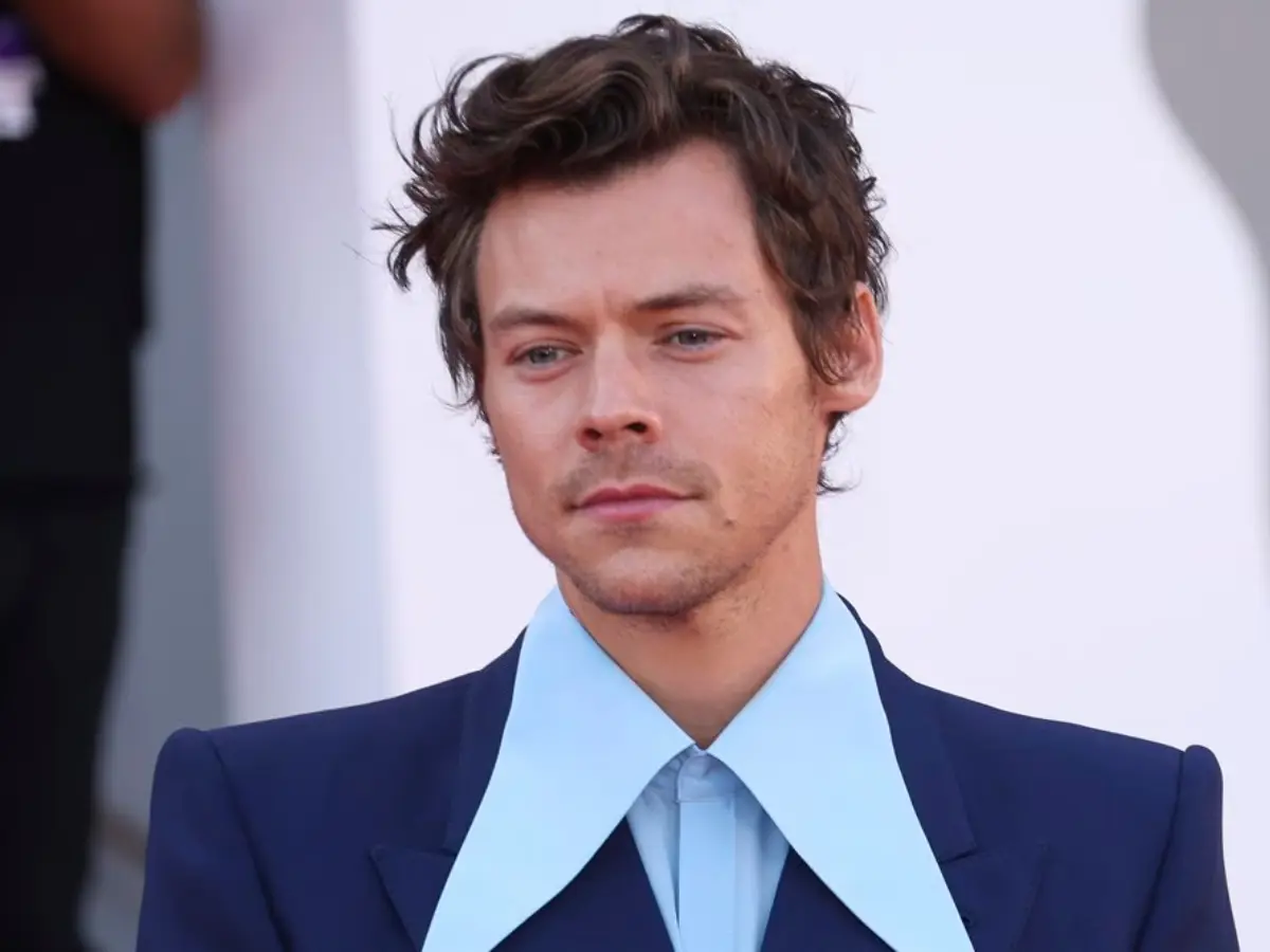 Harry Styles responds to fan yelling 'Viva Palestina' during his ...
