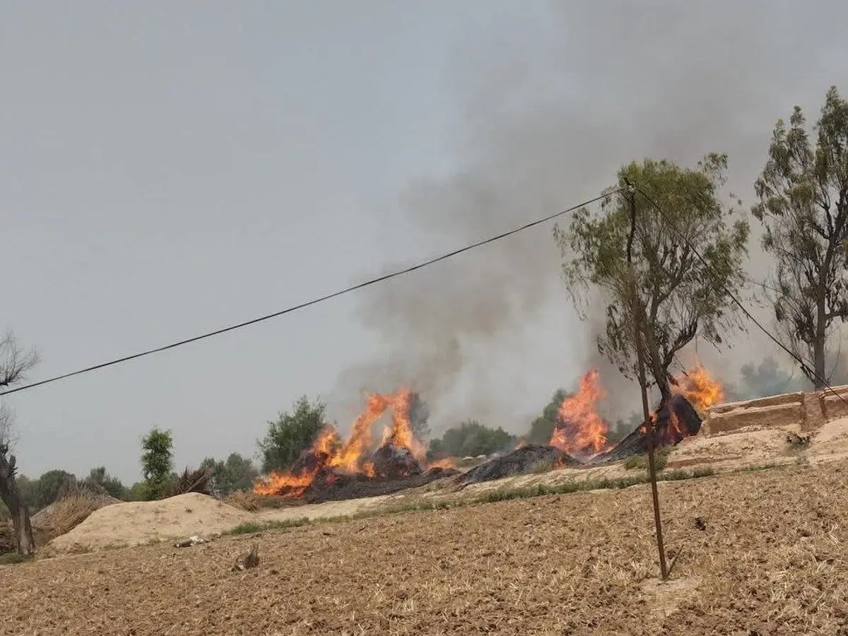 Pakistan Air Force training jet crashes in Punjab, report claims | VIDEO