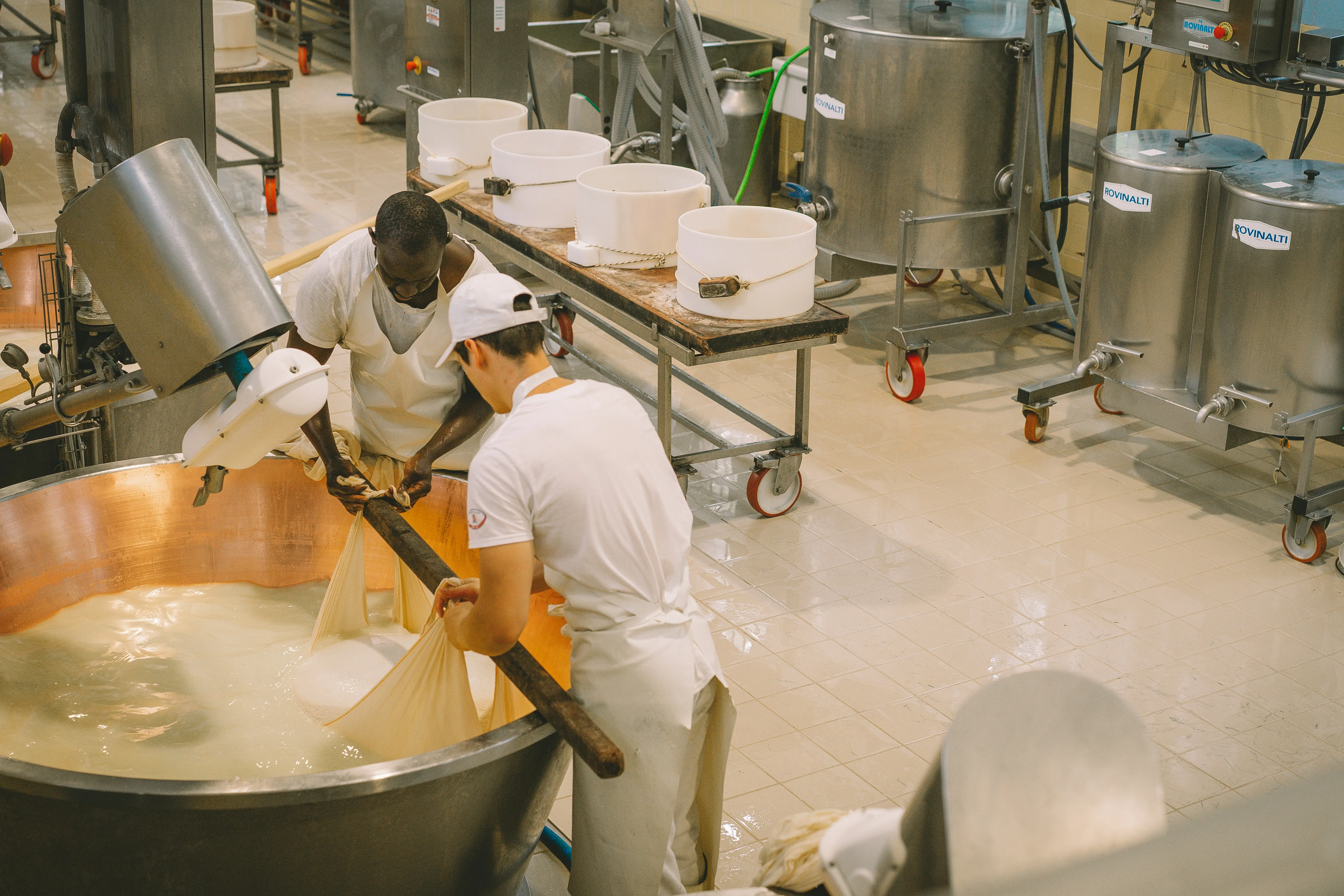 Who leads global dairy race? Top 7 milk-producing countries in world in ...