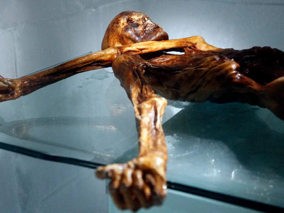 Scientists extract yeast from 5,300-year-old iceman Otzi to bake bread