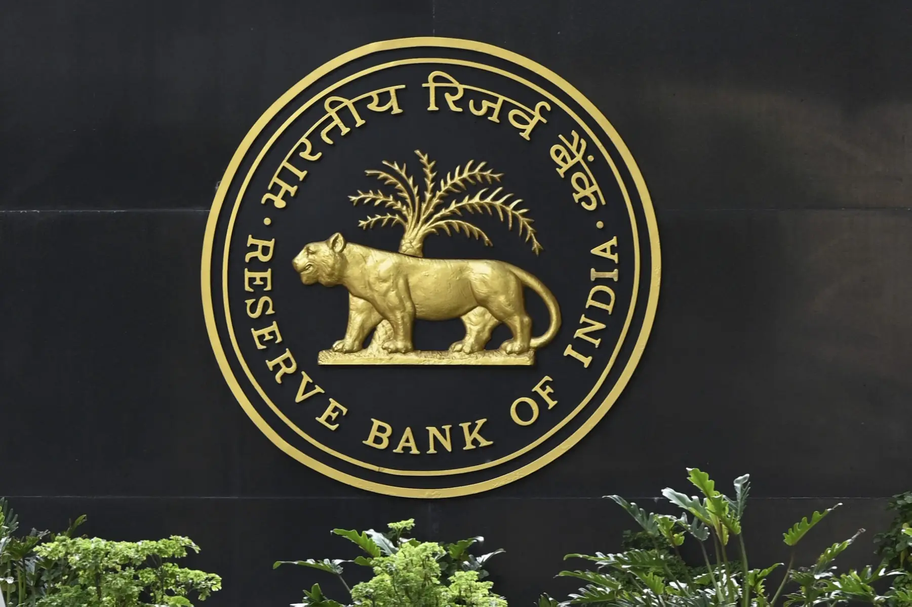RBI keeps repo rate unchanged at 5.25%, cuts GDP growth forecast to 6.6 ...