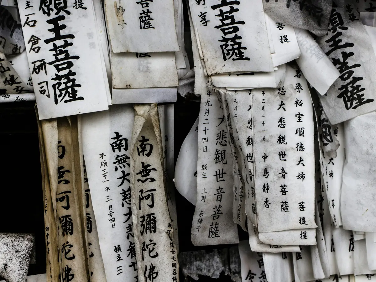 Japanese researchers turn discarded udon noodles into biodegradable ...