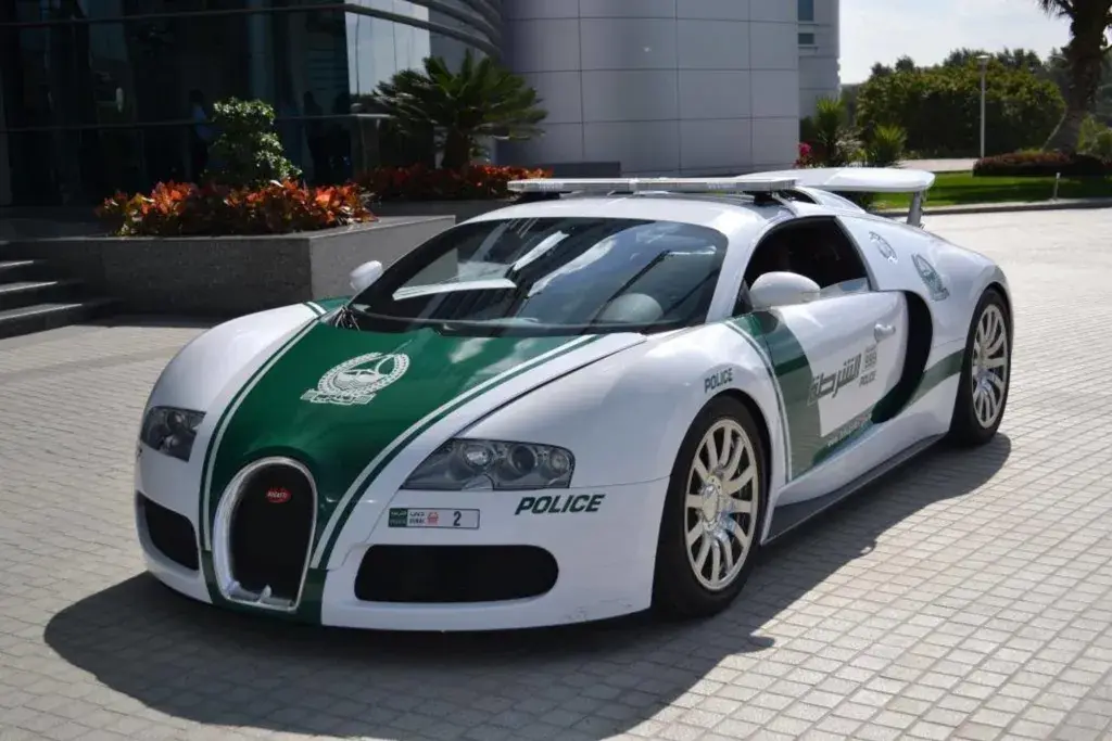 ‘Strict gun laws’: Do Dubai Police officers carry pistols?