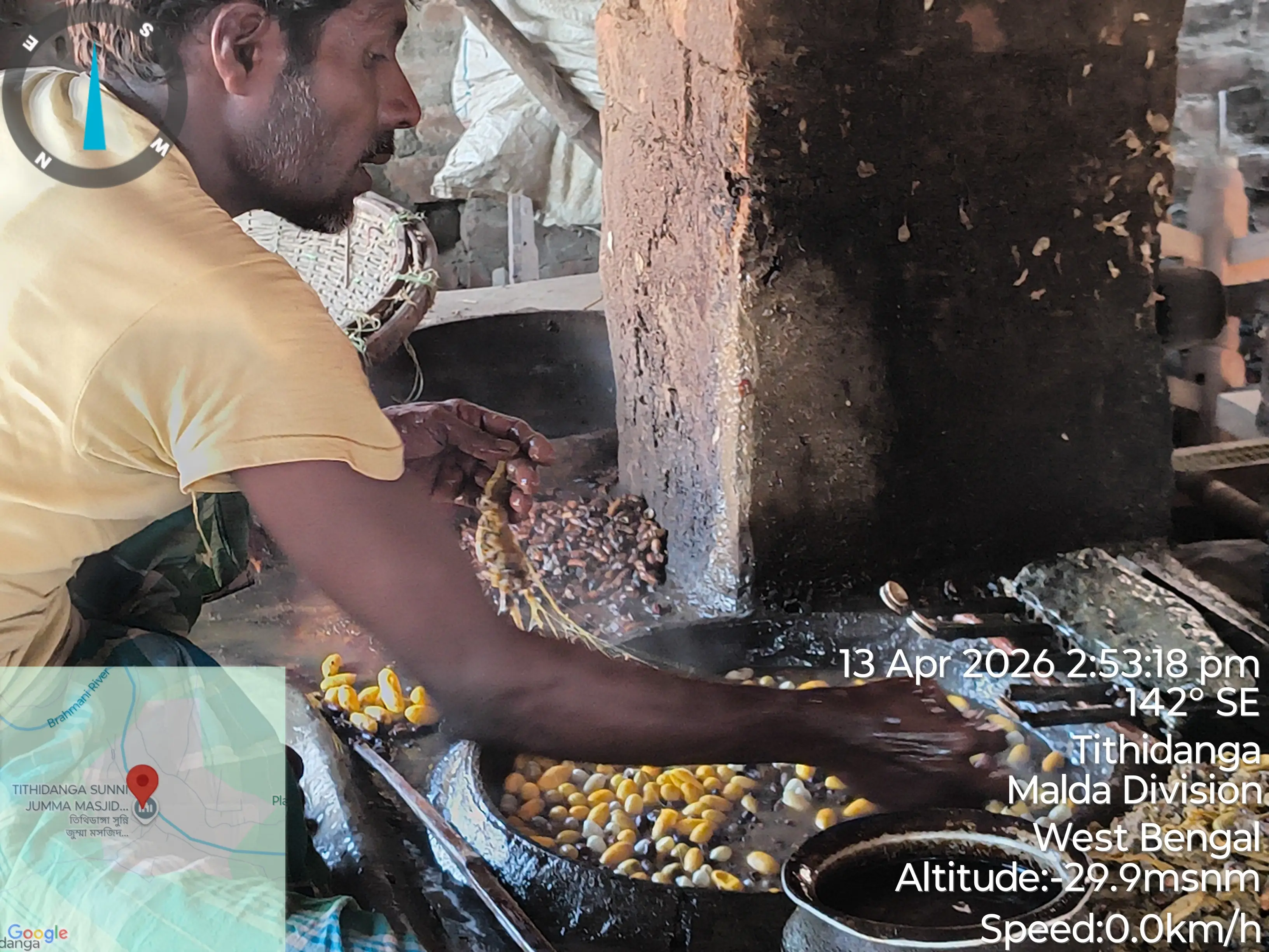 'Threads of cruelty': Caught between heritage, livelihoods and animal ...