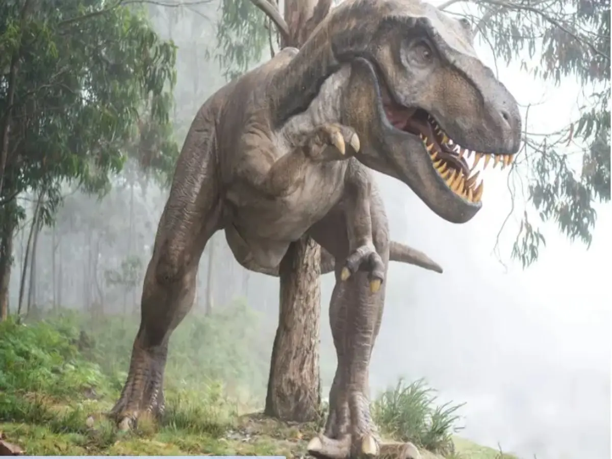 Rare dinosaur fossils of theropods, ornithischian return to Mongolia ...