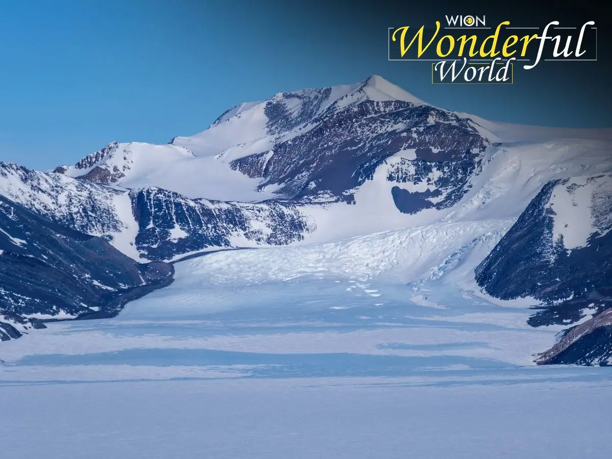 Wonderful World: Antarctic Treaty turns 65; How one pact kept an entire ...
